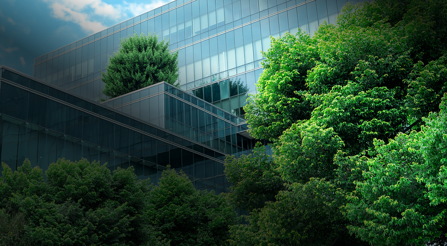 IETA VCM Guidelines 2.0